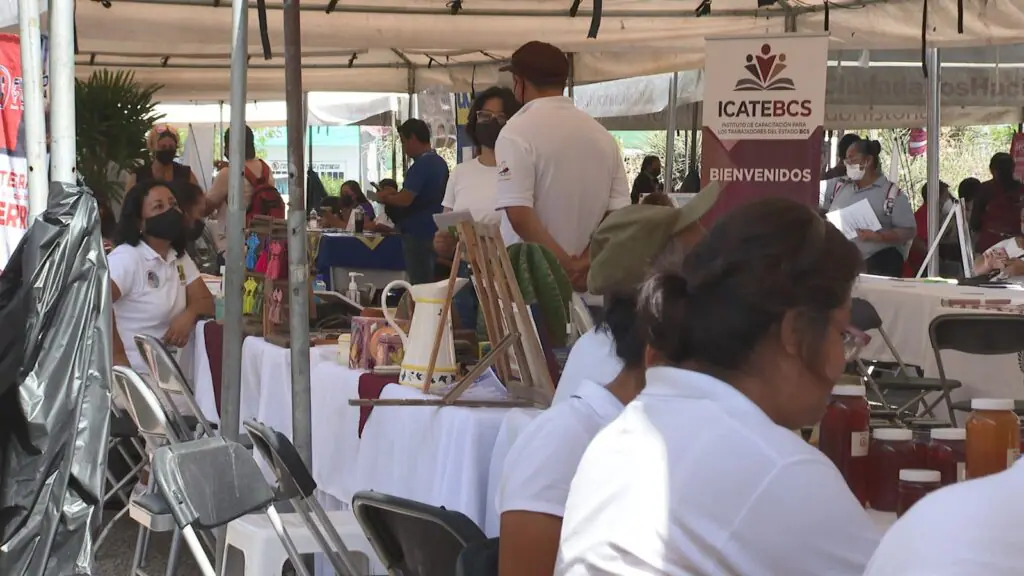 El SNE ofertará más de 800 plazas laborales en SJC