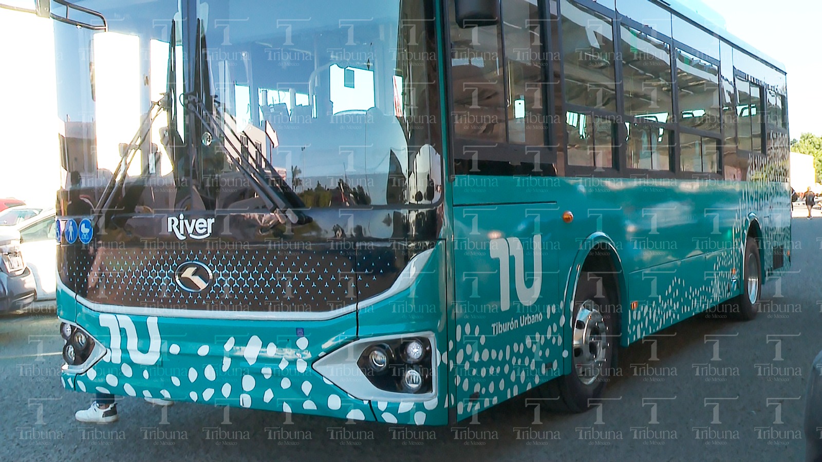Conecta La Paz quien controlará el transporte público de La Paz