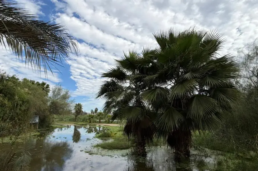 Saneamiento Ambiental en la Reserva Estero SJC