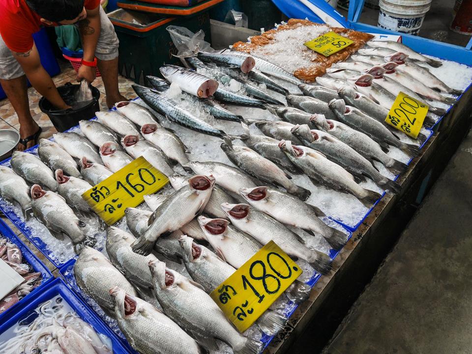 Ang Sila Fish Bridge (New) | Find & View Tourist Attractions on Tripniceday