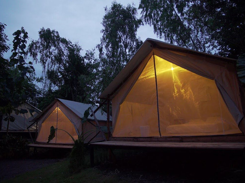 Rewild camp&cafe | Find & View Tourist Attractions on Tripniceday