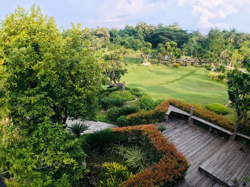 Wisdom field | ดูข้อมูลที่เที่ยวบน TripNiceDay