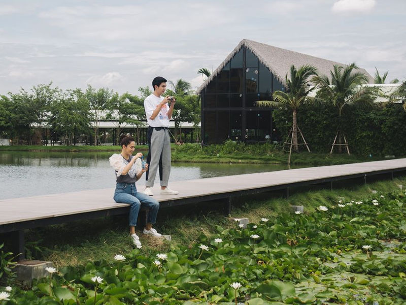 ดูบัว คาเฟ่ (DUBUA Cafe) | ดูข้อมูลที่เที่ยวบน TripNiceDay