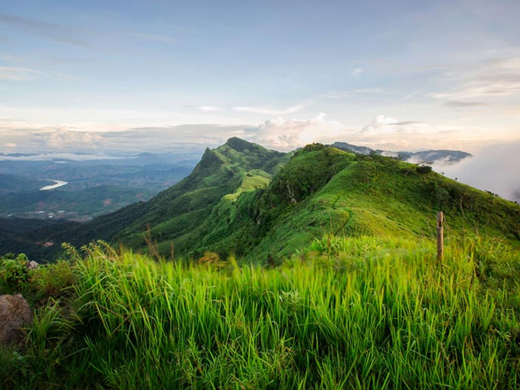 Doi Pha Tang | Find & View Tourist Attractions on Tripniceday