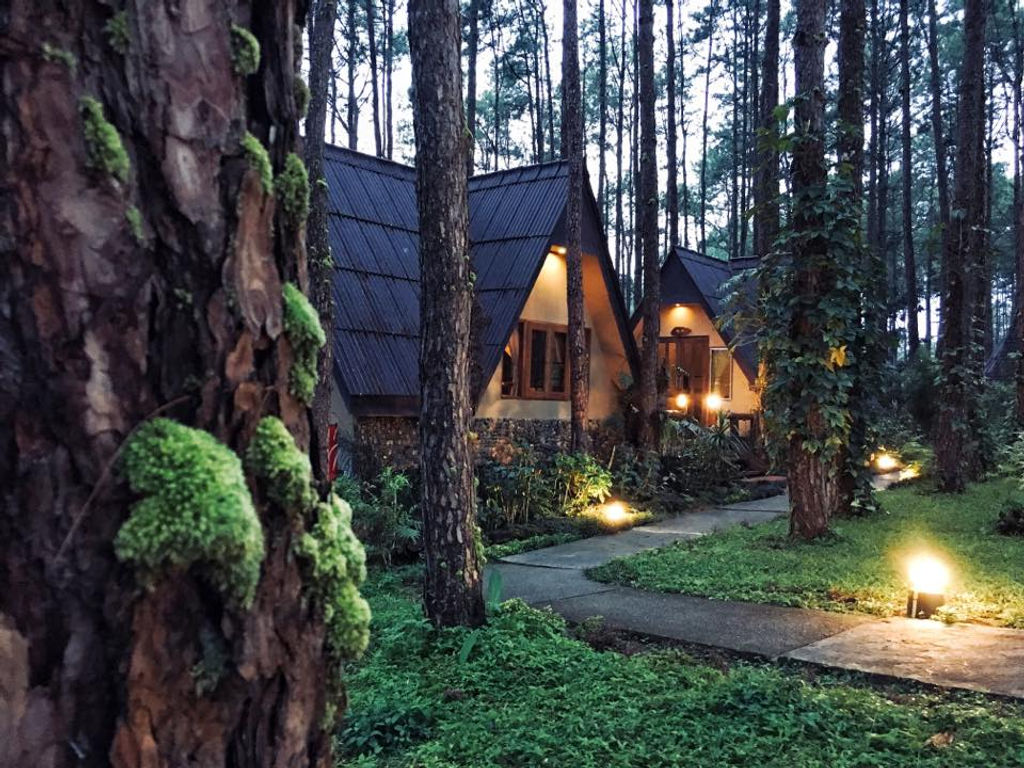 Doi Bo Luang Forest Garden | Find & View Tourist Attractions on Tripniceday