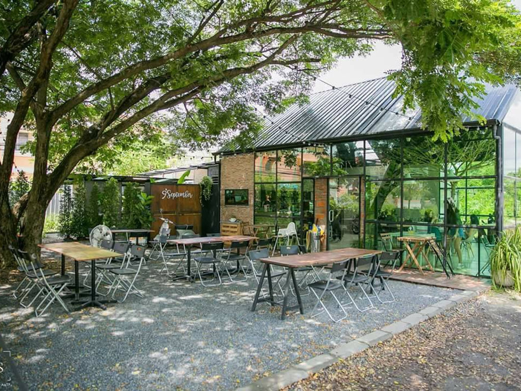 9th September Eat Drink Tree | ดูข้อมูลที่เที่ยวบน TripNiceDay