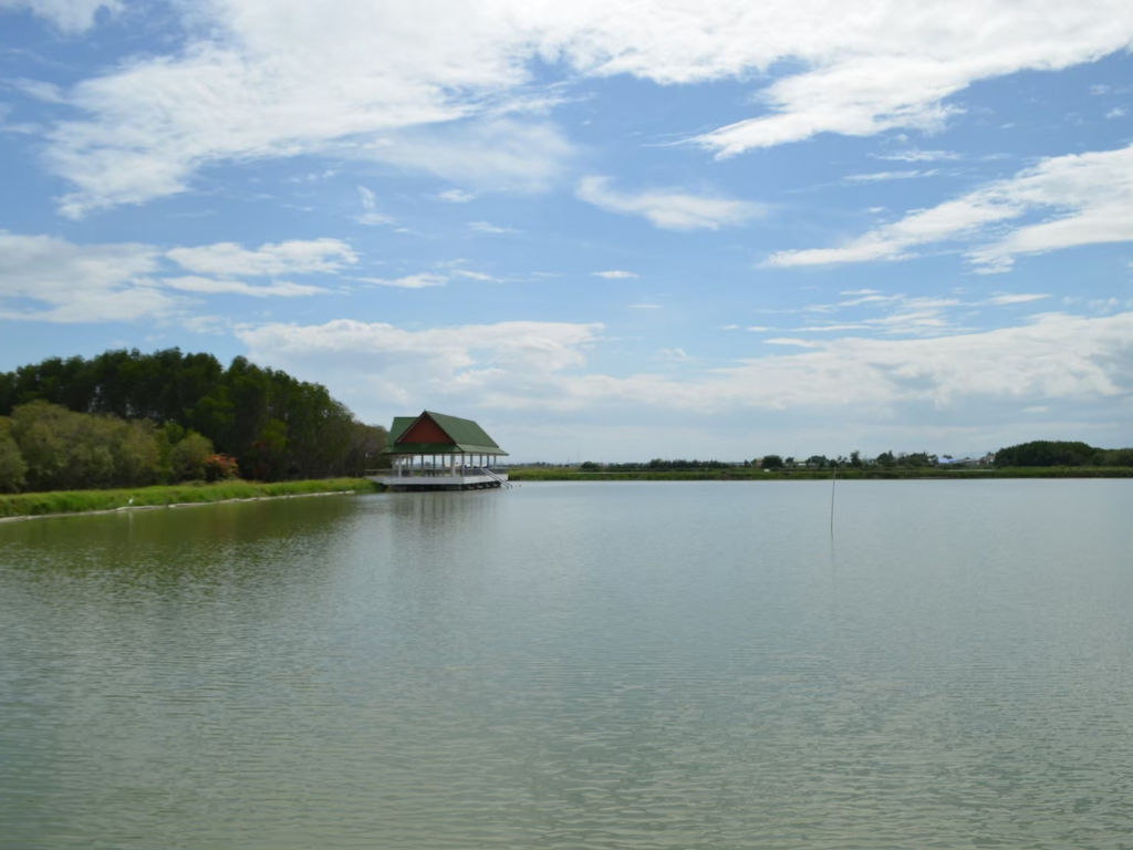 Laem Phak Bia | Find & View Tourist Attractions on Tripniceday