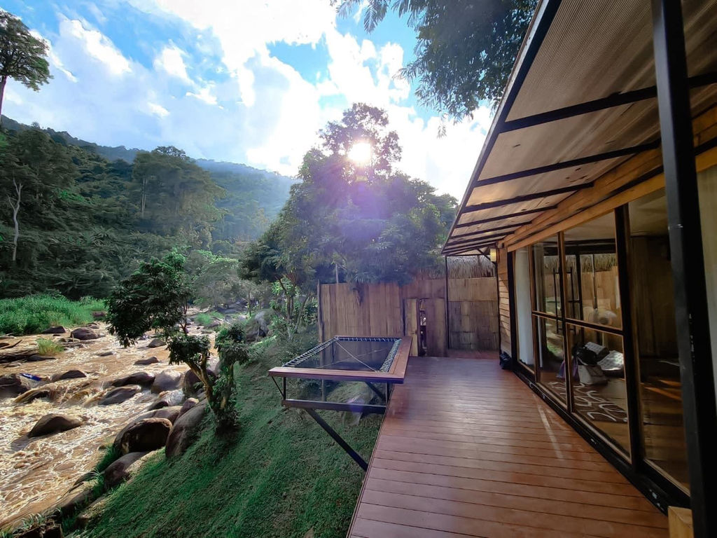 Stay Wild & Café | Find & View Tourist Attractions on Tripniceday