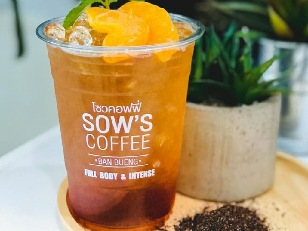 Sow's Coffee สยามธารามันตรา | ดูข้อมูลที่เที่ยวบน TripNiceDay