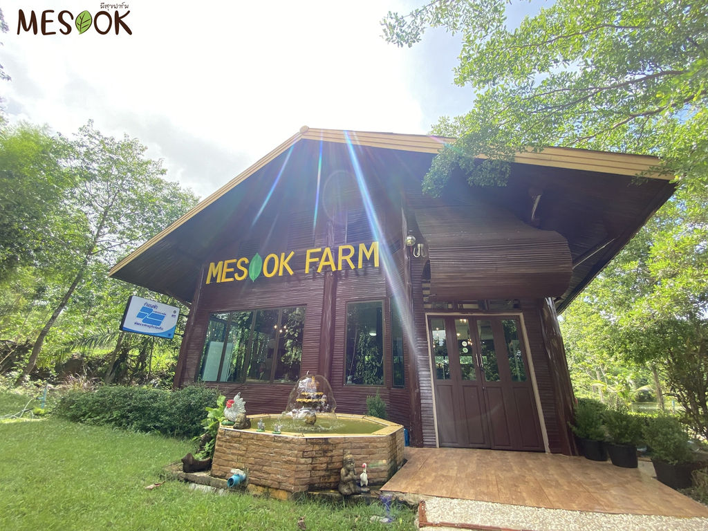 มีสุขฟาร์ม Mesook Farm | ดูข้อมูลที่เที่ยวบน TripNiceDay
