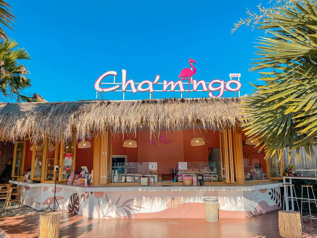 Chamingo-ชามิงโก้ บางแสน | ดูข้อมูลที่เที่ยวบน TripNiceDay