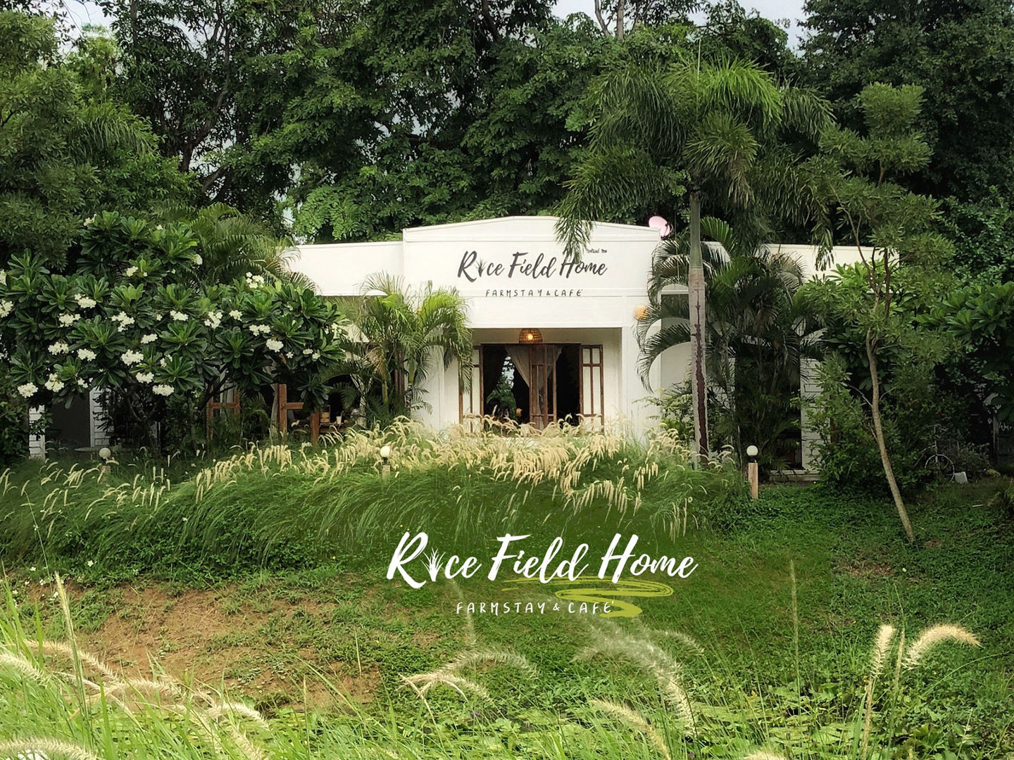 rice field home farmstay | ดูข้อมูลที่เที่ยวบน TripNiceDay