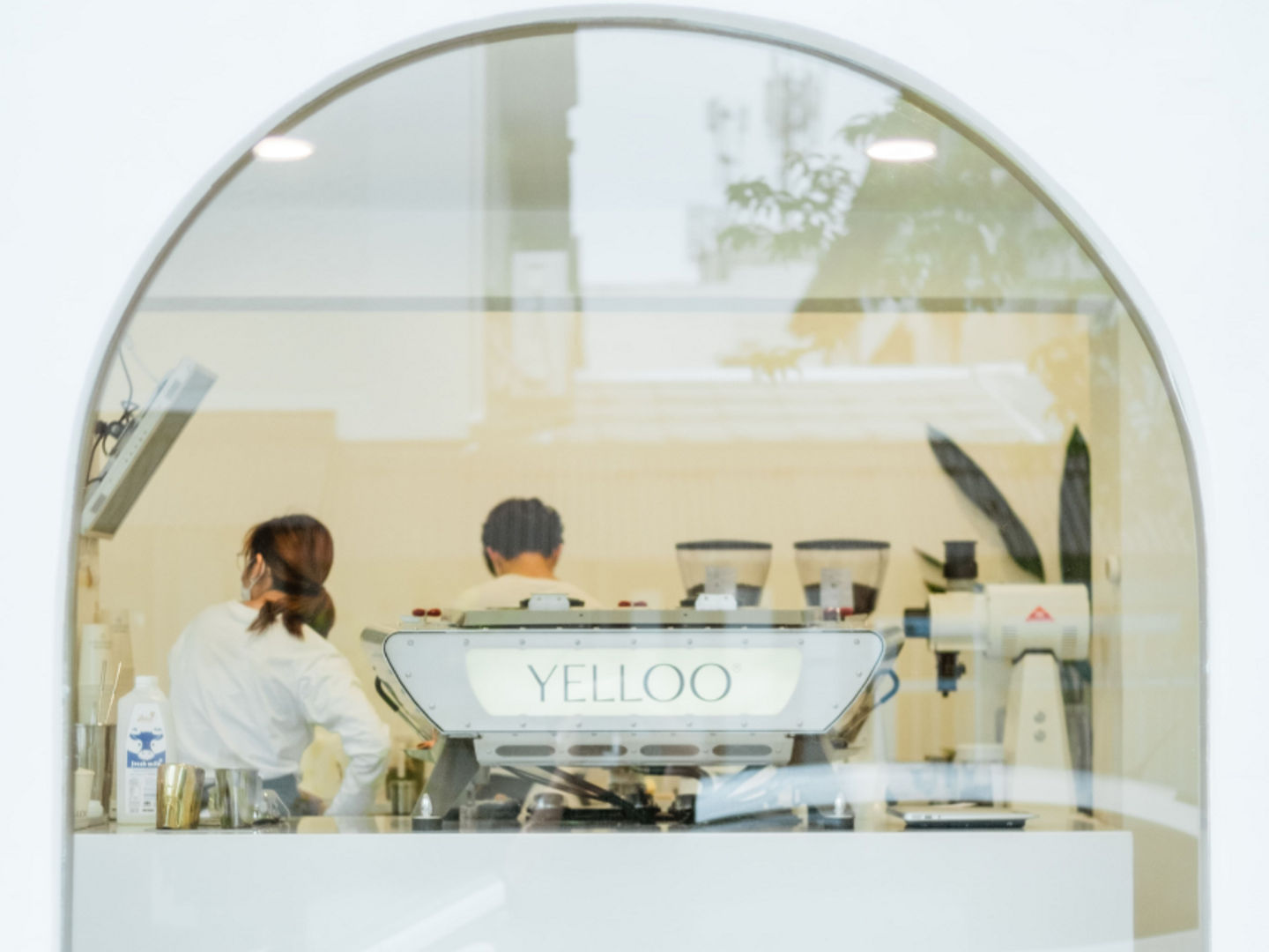 Yelloo | ดูข้อมูลที่เที่ยวบน TripNiceDay