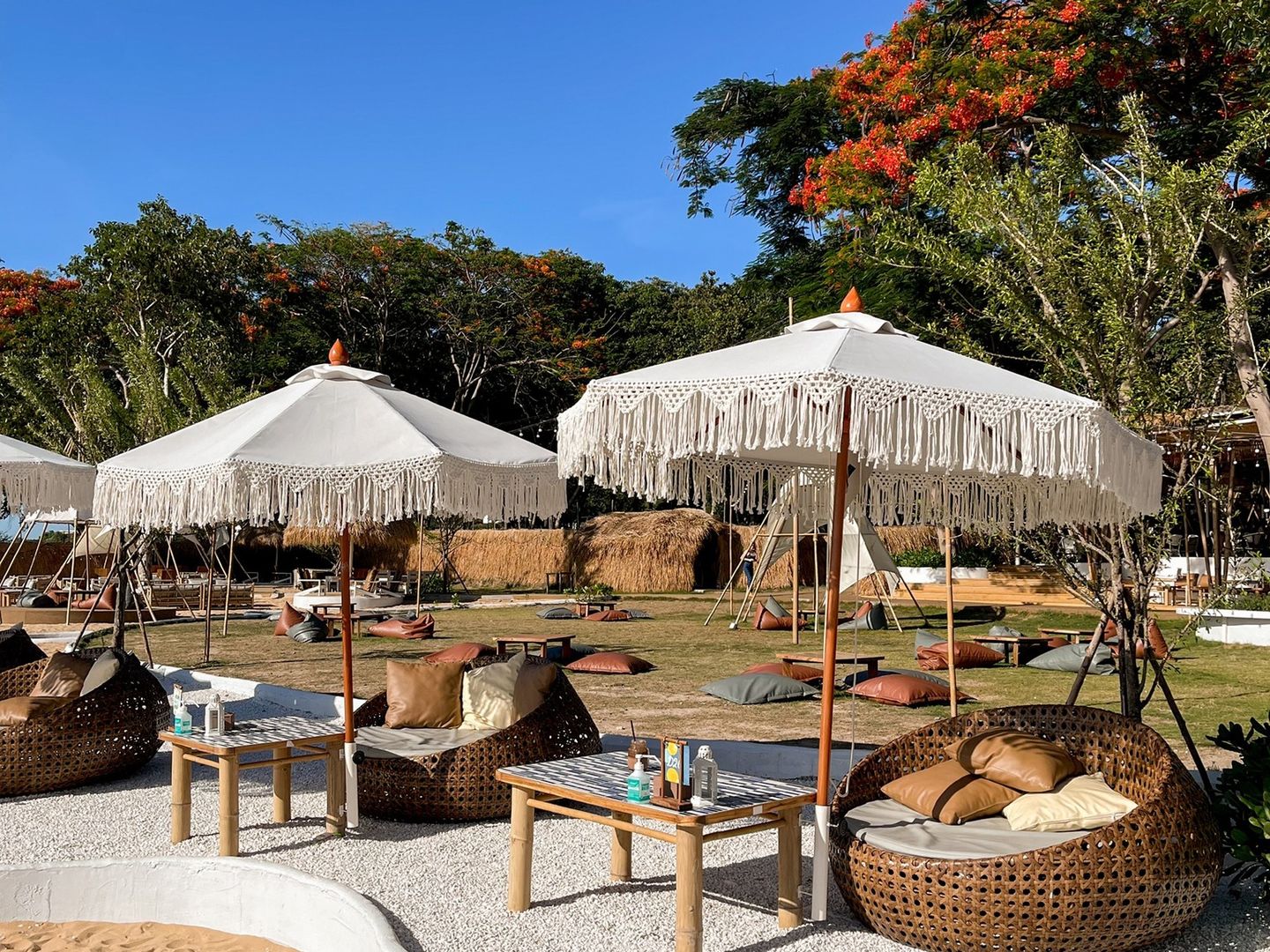 The Oxygen Beachfront Oasis, Pattaya เดอะออกซิเจน บีซฟอร์น โอเอซีต ...