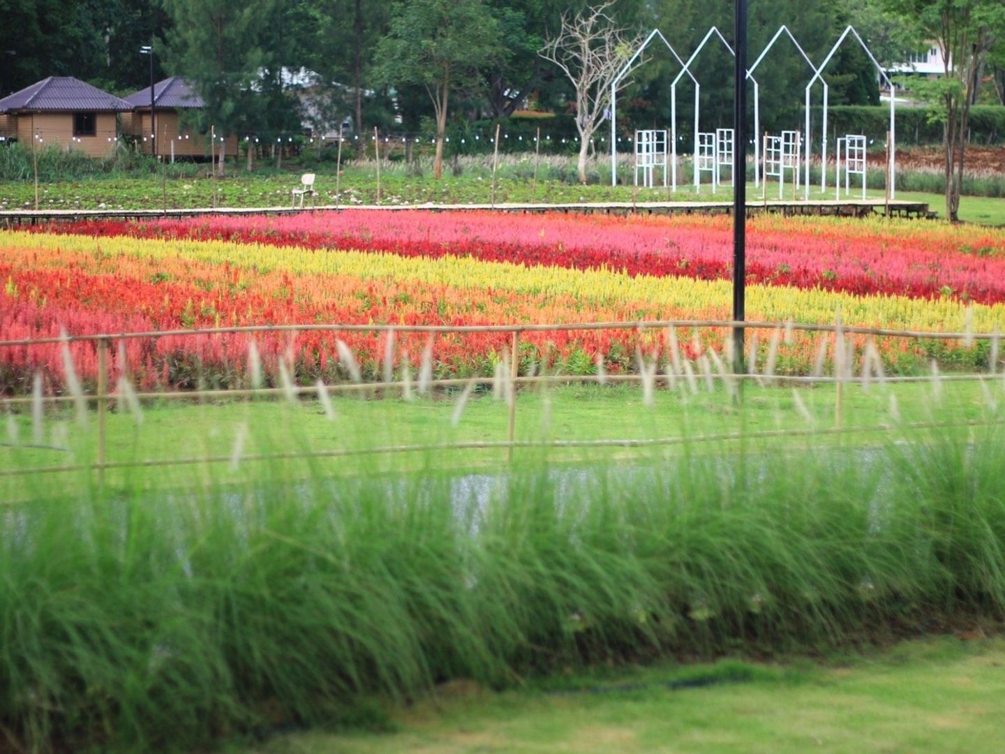 Flowers Village Khaoyai | ดูข้อมูลที่เที่ยวบน TripNiceDay