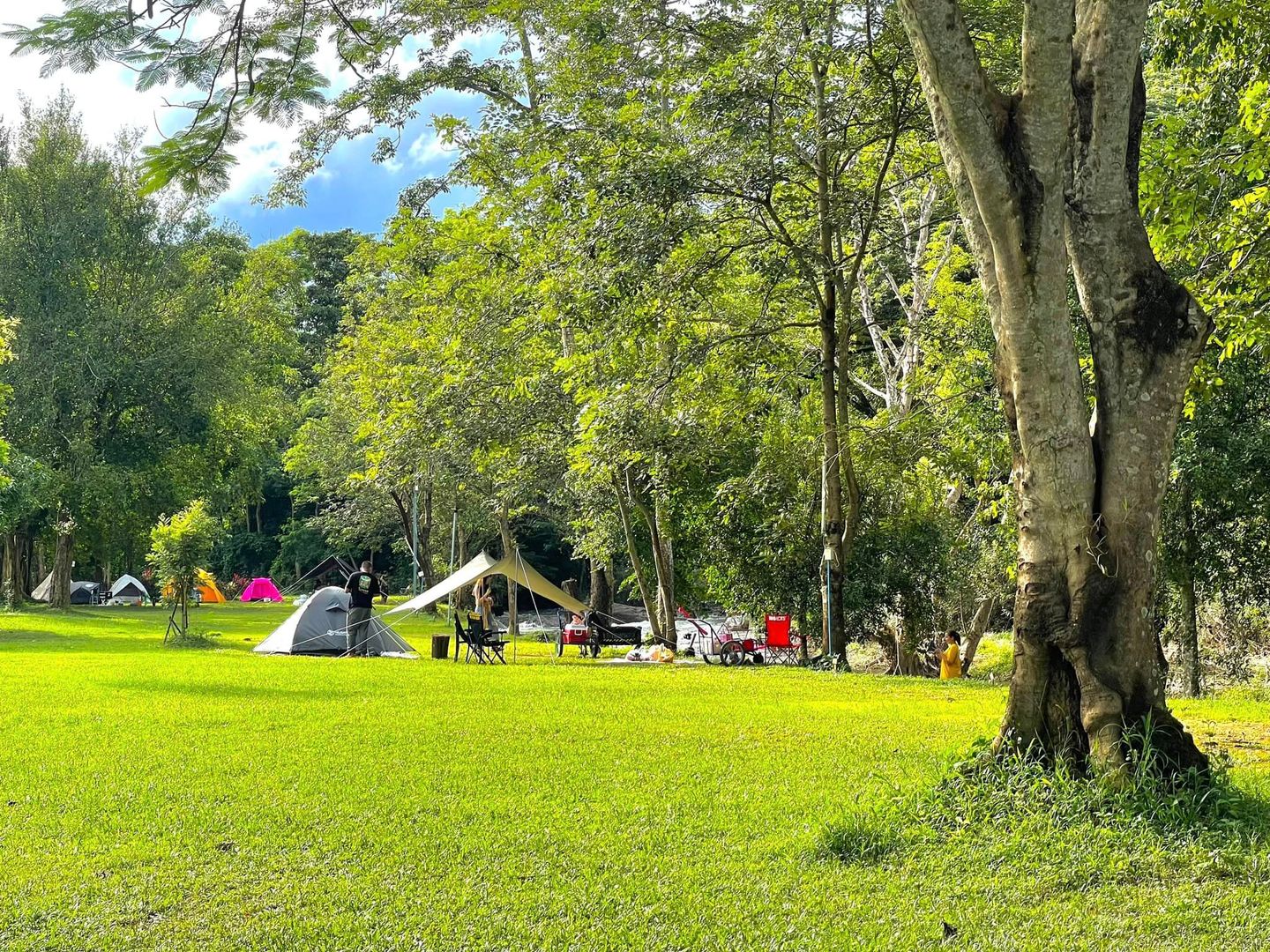 The bird camp เดอะเบิร์ดแคมป์ | ดูข้อมูลที่เที่ยวบน TripNiceDay