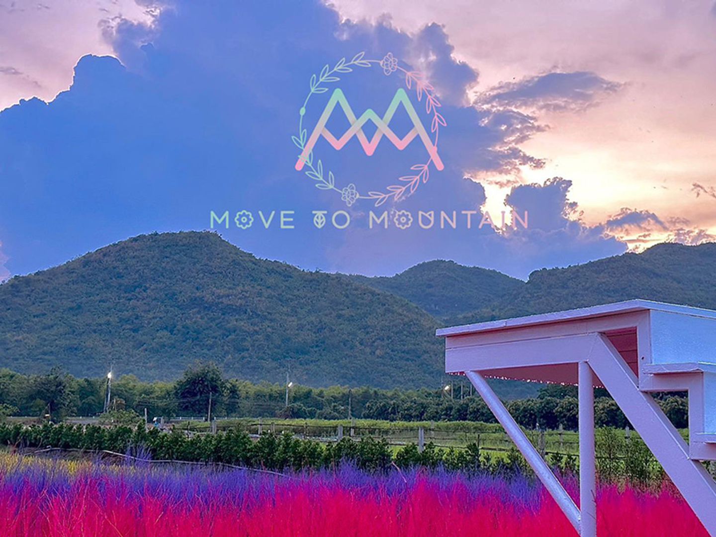 Move To Mountain Garden&Cafe | ดูข้อมูลที่เที่ยวบน TripNiceDay