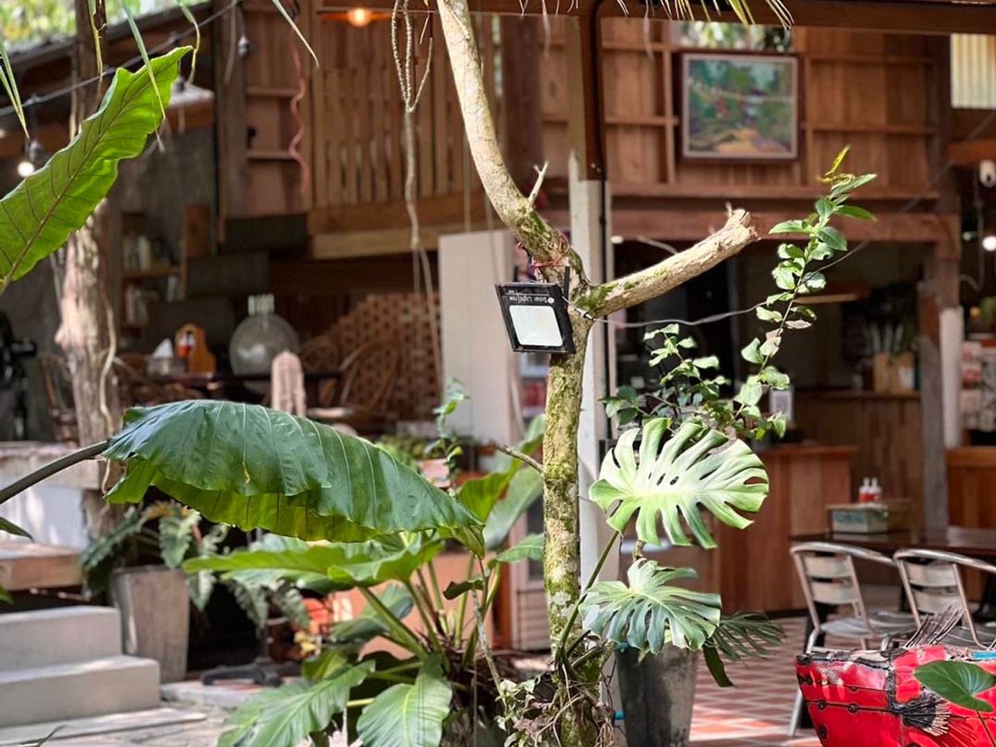 ยังทำฟาร์ม Young Tam Farm | ดูข้อมูลที่เที่ยวบน TripNiceDay