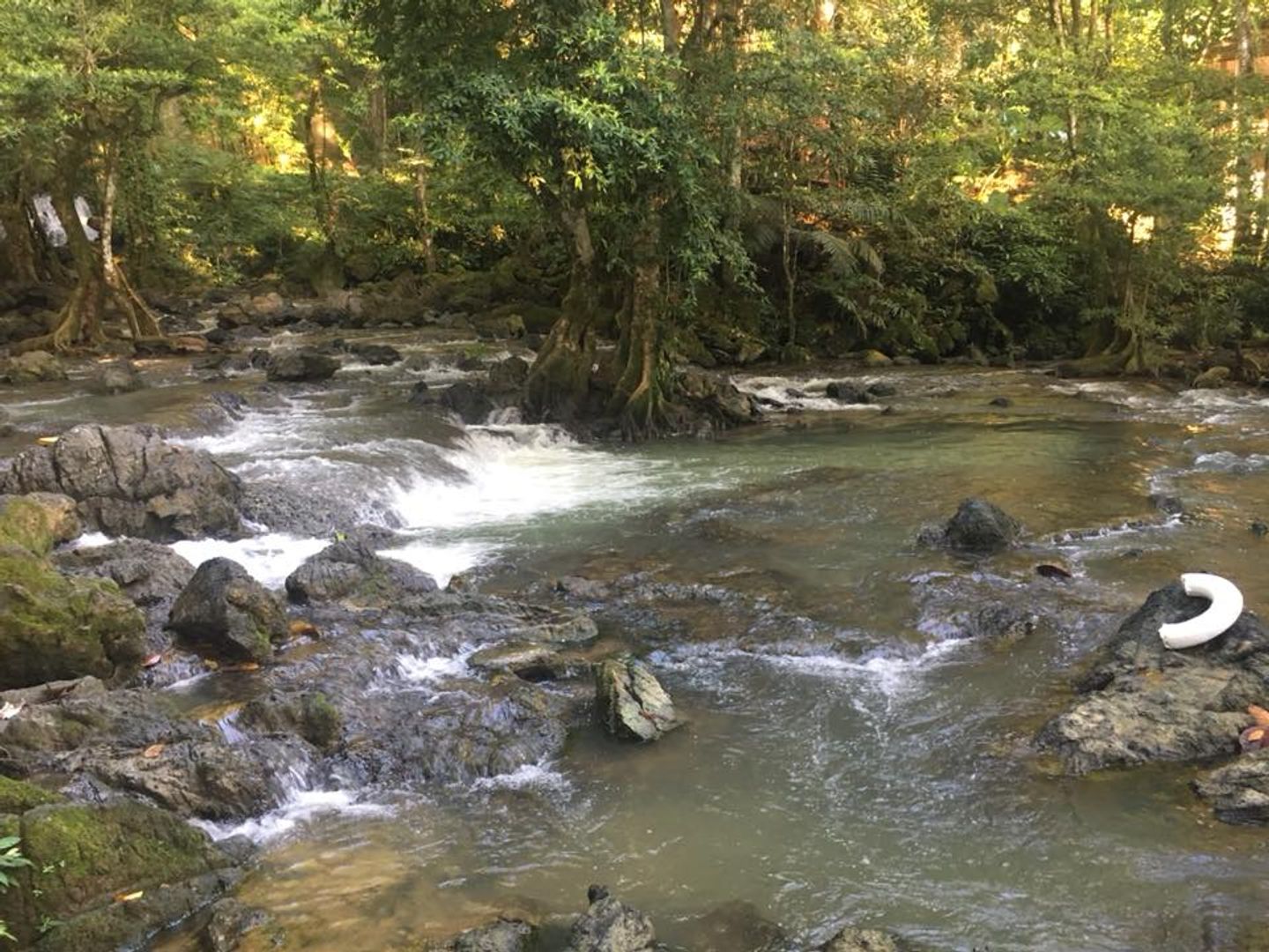 Ladybug Waterfall | Find & View Tourist Attractions on Tripniceday