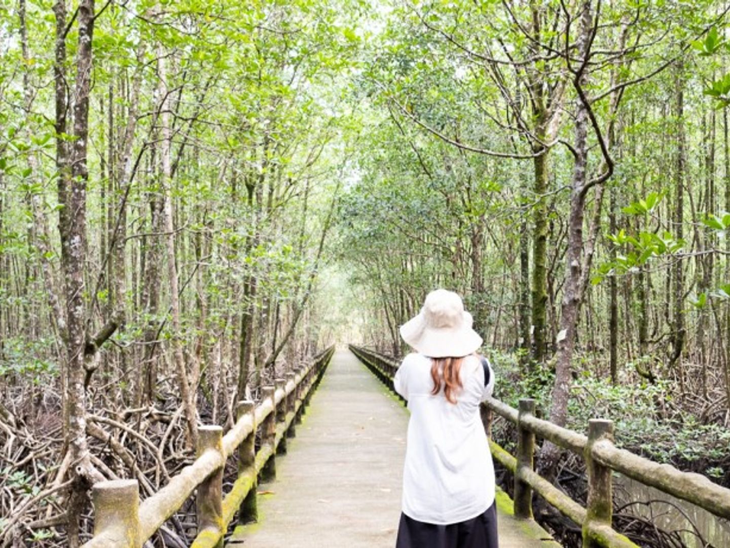 Ngao Mangrove Forest Research Center (Mangrove Forest Research Center ...