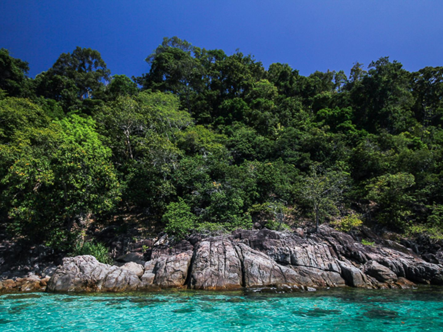 Koh Yang (Koh Kata) | Find & View Tourist Attractions on Tripniceday