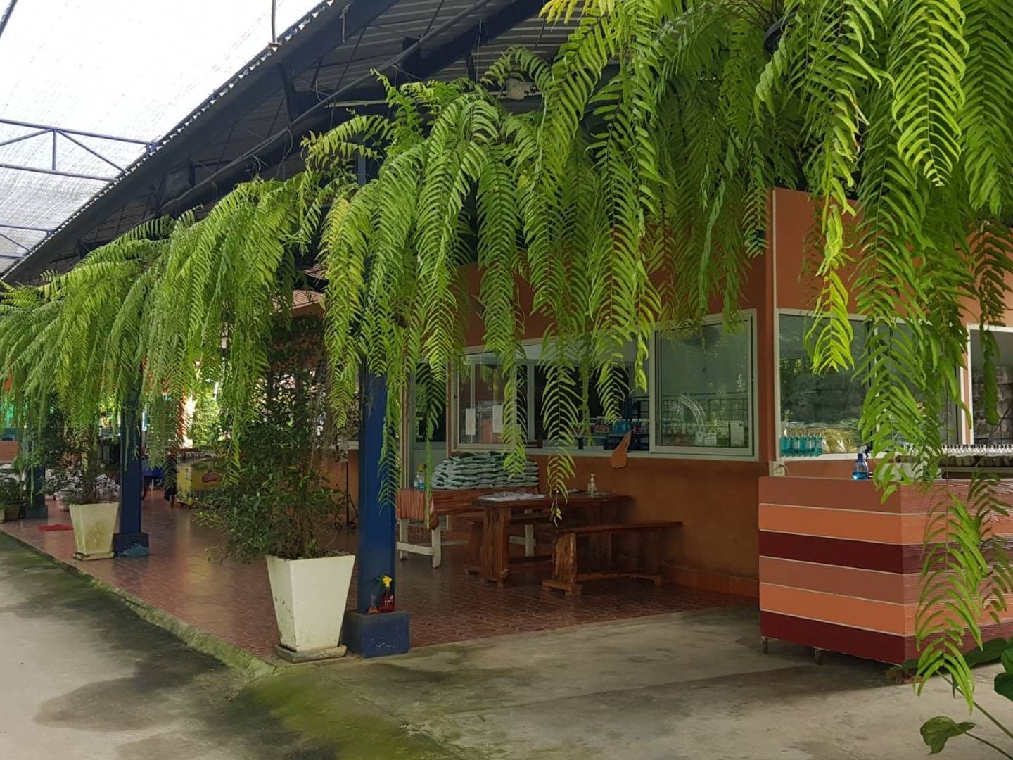 Burapha Mushroom Farm | Find & View Tourist Attractions on Tripniceday