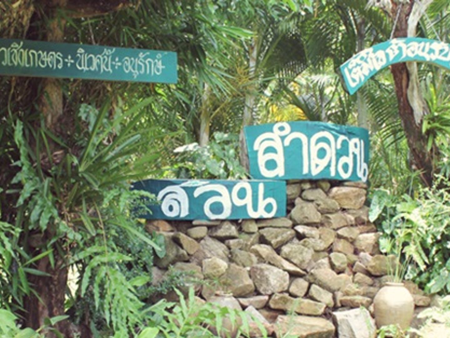 Lamduan Garden | Find & View Tourist Attractions on Tripniceday