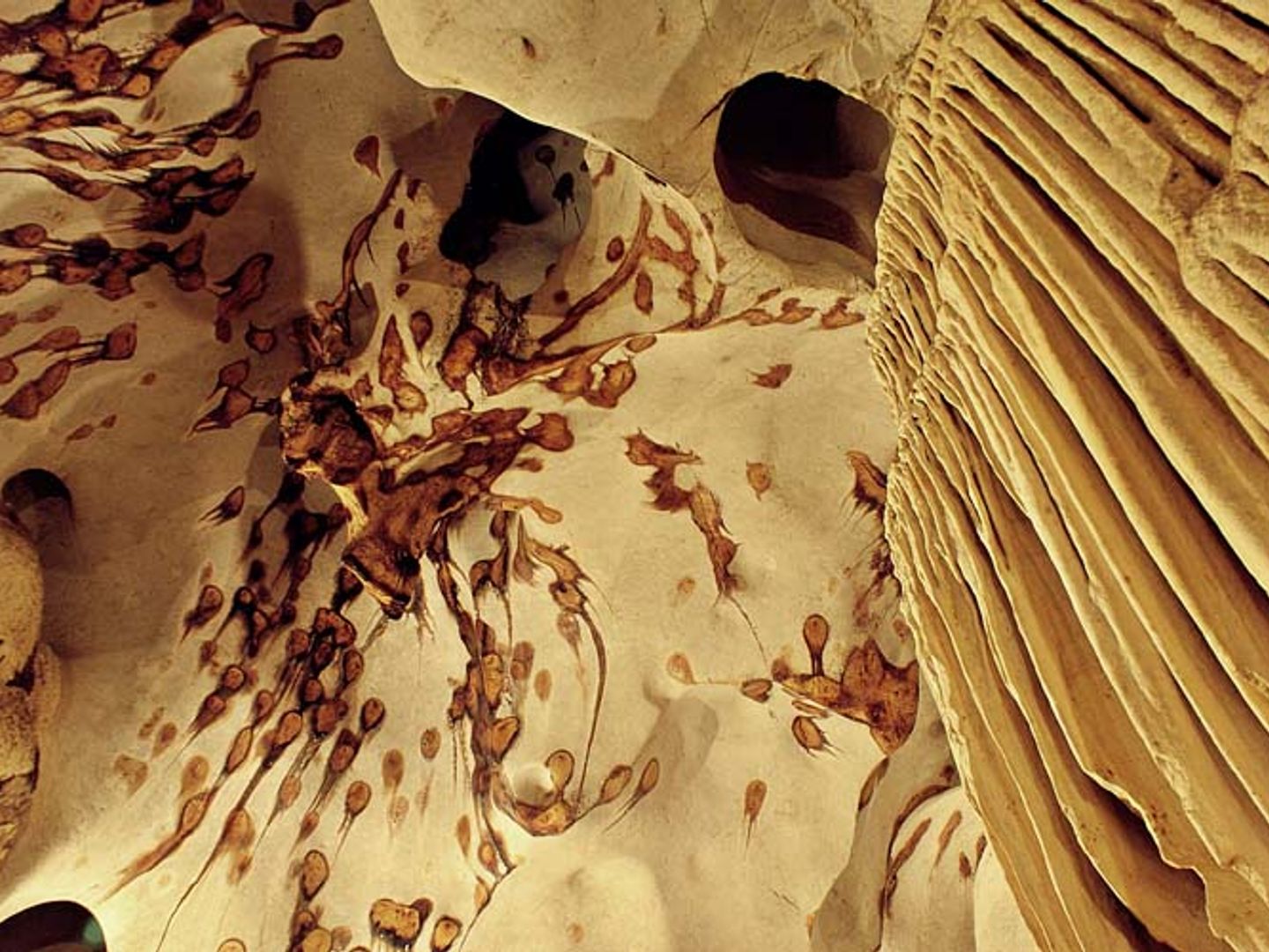 Phet Cave Sai Kaew Beach | Find & View Tourist Attractions on Tripniceday