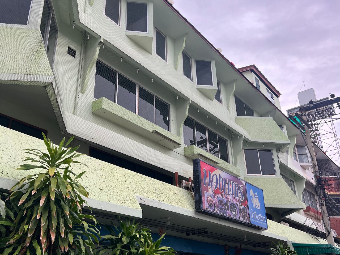 ร้านพวงเพชร | ดูข้อมูลที่เที่ยวบน TripNiceDay