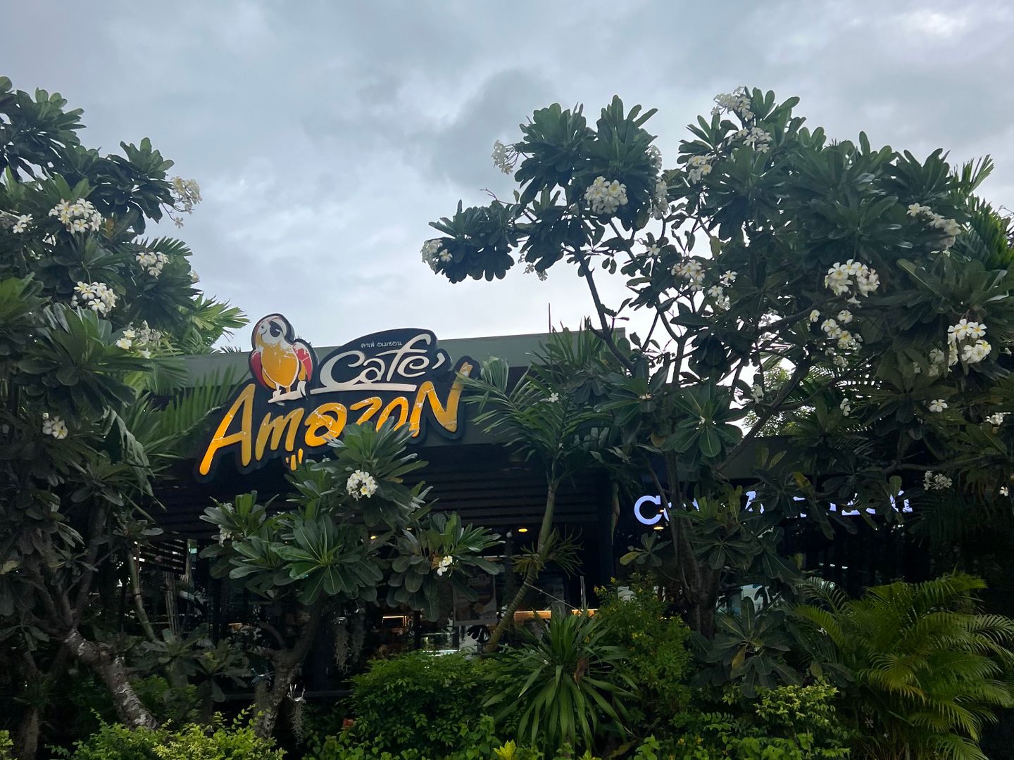 Cafe Amazon สาขา 0669 | ดูข้อมูลที่เที่ยวบน TripNiceDay