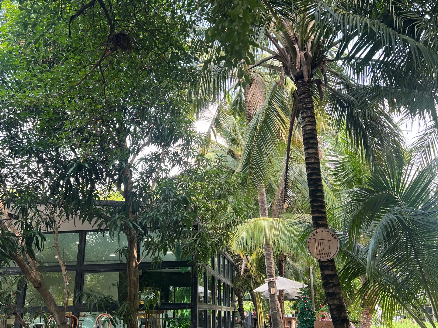 Rosded Garden | Find & View Tourist Attractions on Tripniceday