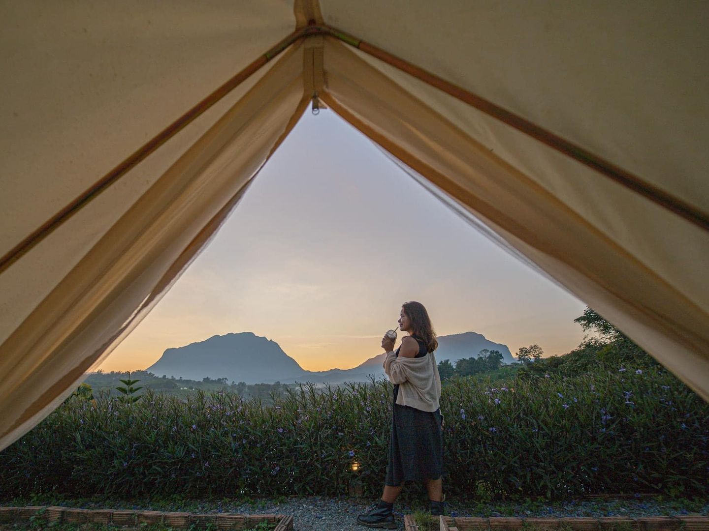 โกโก้แคมป์ เชียงดาว | ดูข้อมูลที่เที่ยวบน TripNiceDay