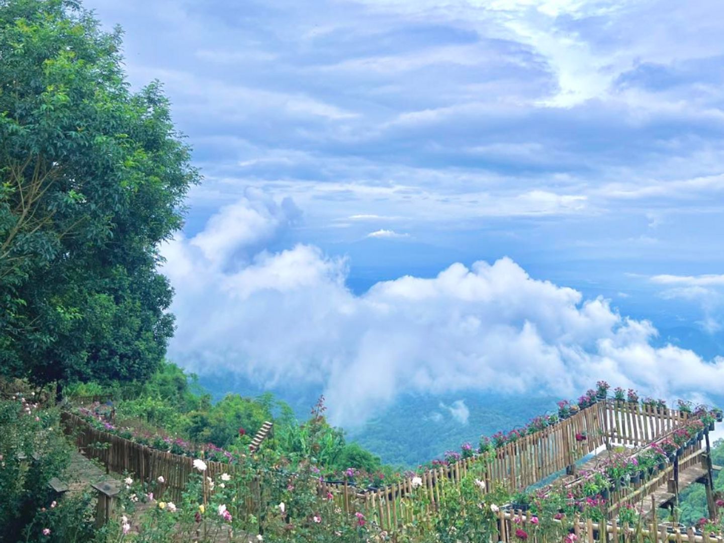 Skywalk Mon Chaem | Find & View Tourist Attractions on Tripniceday