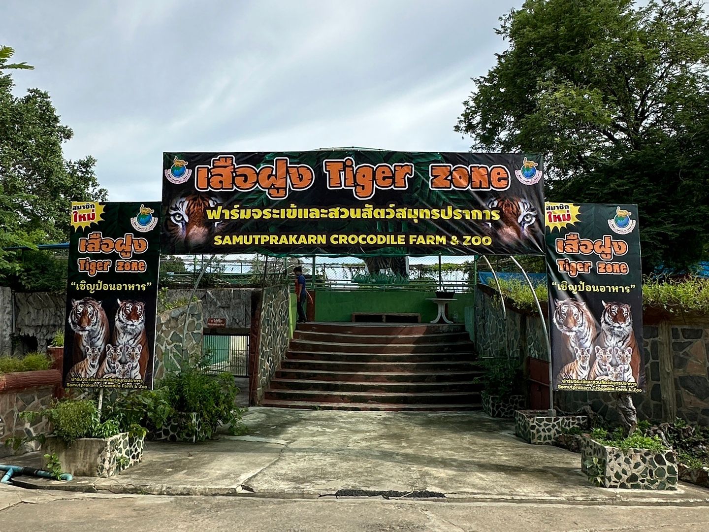 RC - Tiger Zone | ดูข้อมูลที่เที่ยวบน TripNiceDay