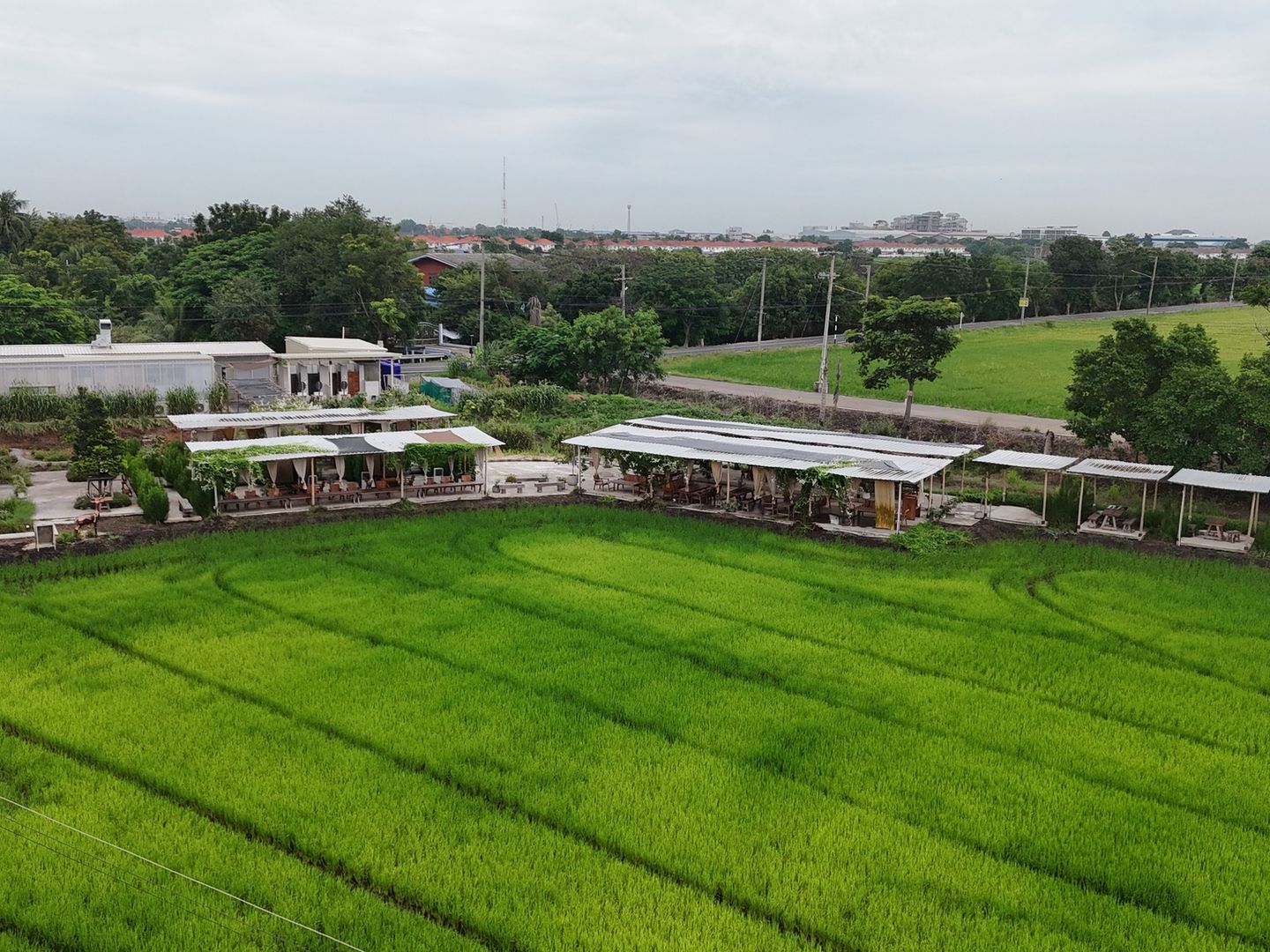 Lamer Homecraft cafe : ละเมอร์ โฮมคราฟท์ คาเฟ่ | ดูข้อมูลที่เที่ยวบน ...