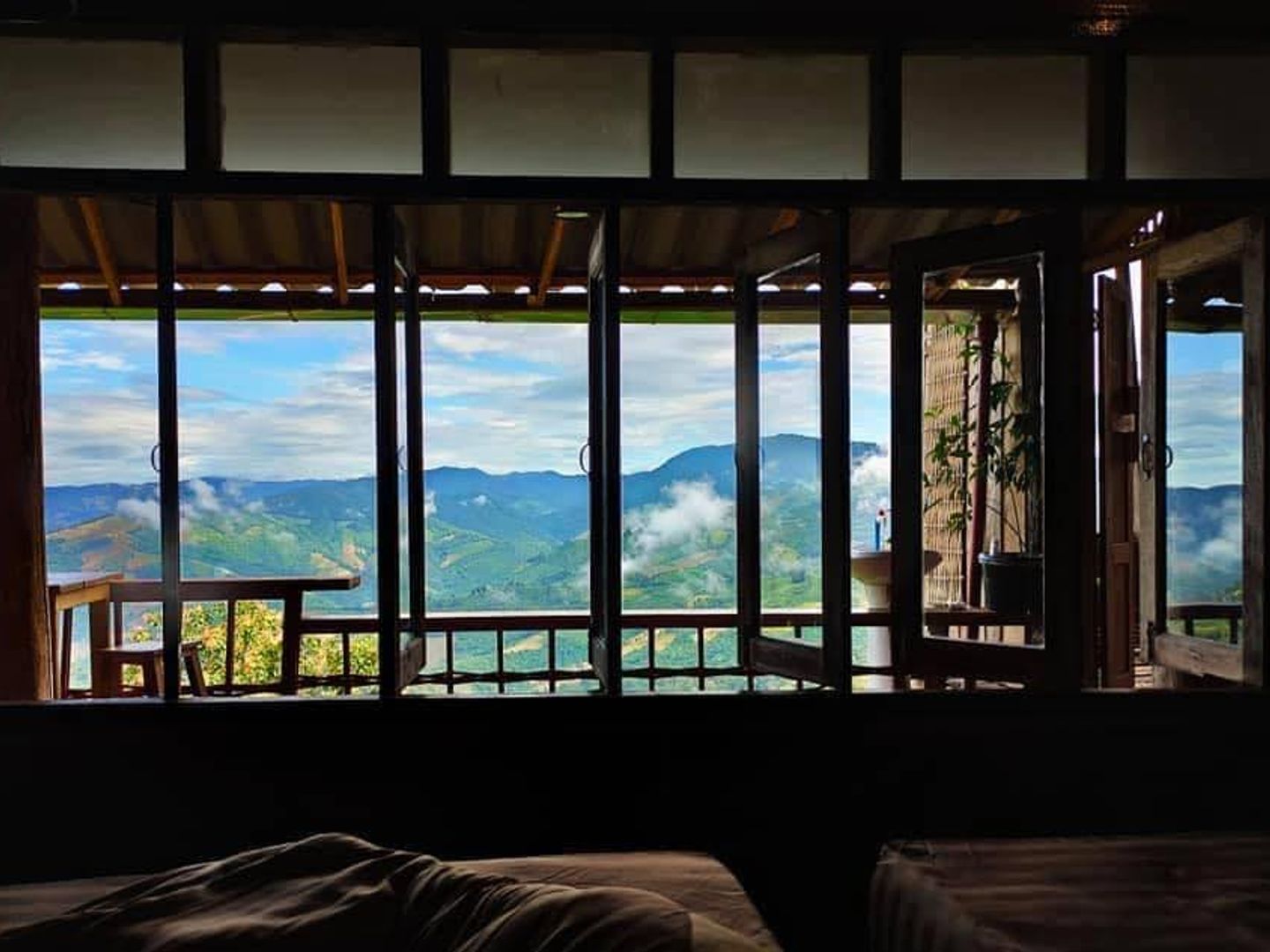 Steamed frog in a pot at Doi Skad | Find & View Tourist Attractions on ...