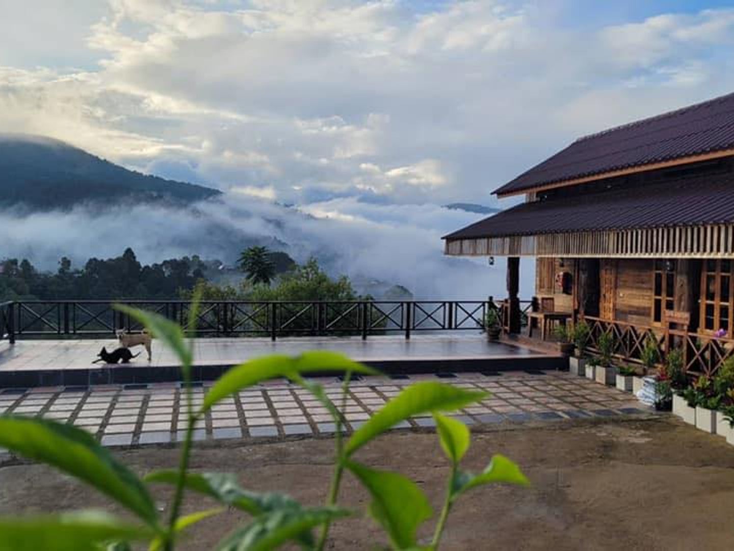 บ้านป่าเมืองเถื่อนดอยสกาด | ดูข้อมูลที่เที่ยวบน TripNiceDay