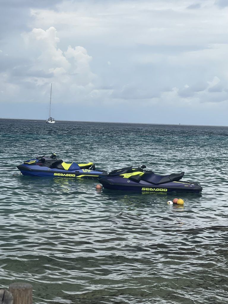 Are There Things to Do In Cozumel? - Tom Seest