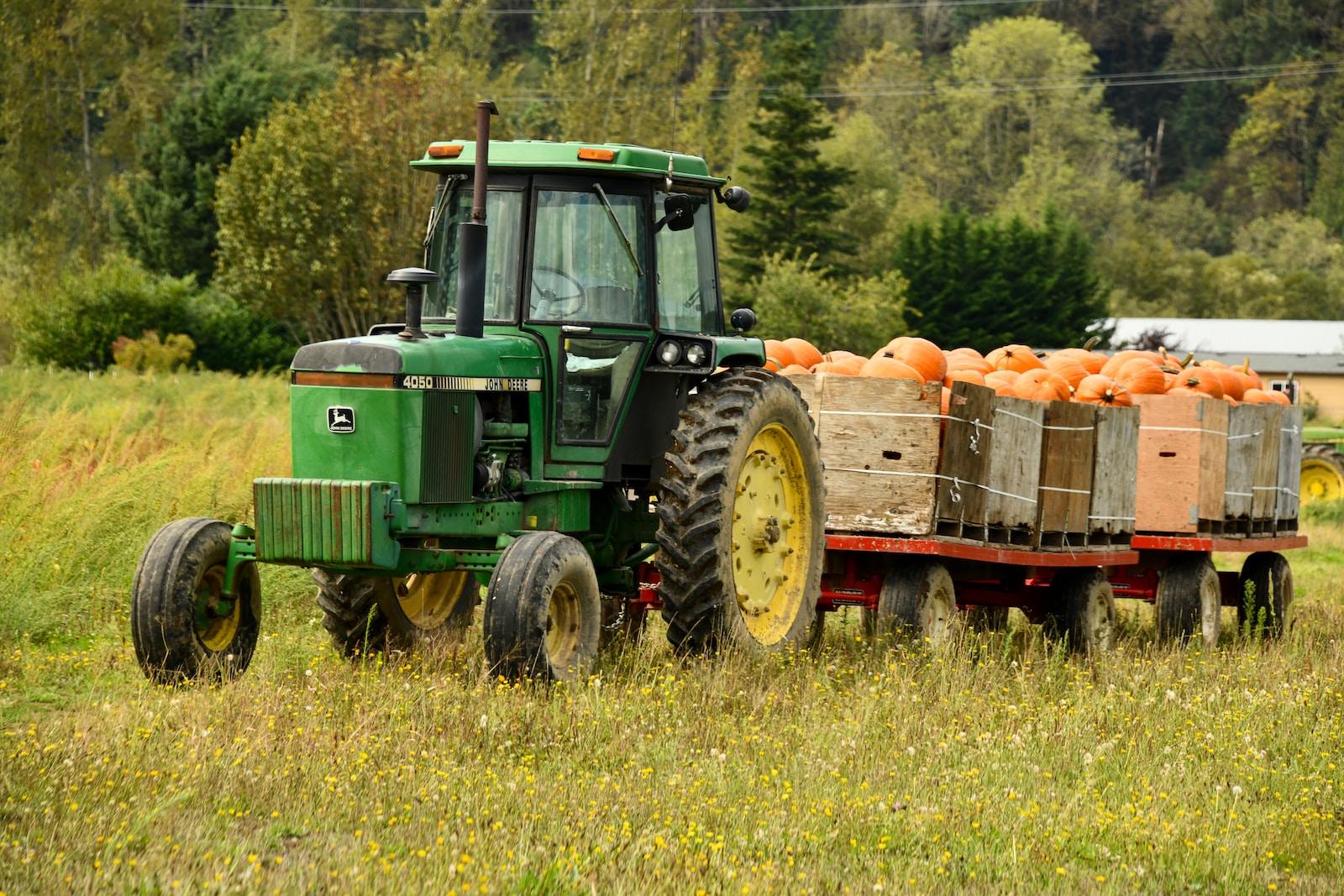 Can Scotland's Classic Tractors Take You Back In Time? - Tom Seest