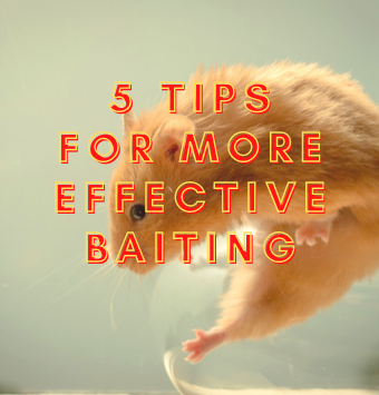 5 TIPS FOR MORE EFFECTIVE BAITING - Tuckers