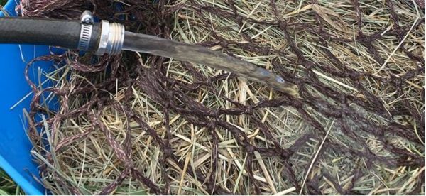 Soaking Horse Hay Safely - Tuckers