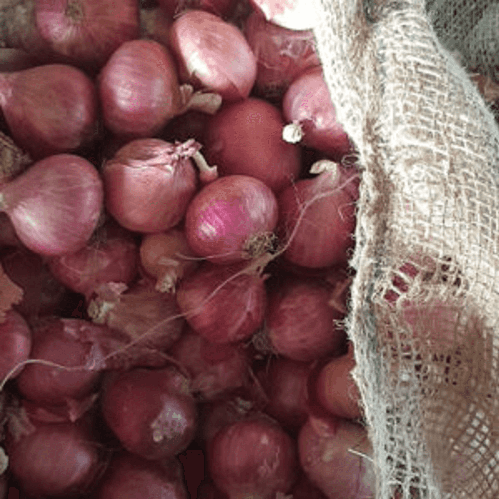 Apex Exim Co., Ltd - Reliable Exporter of Quality Goods