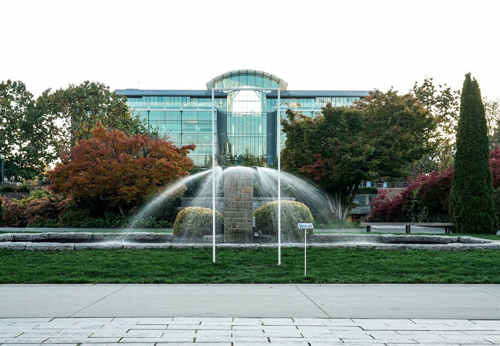 The Ubyssey’s guide to libraries on campus