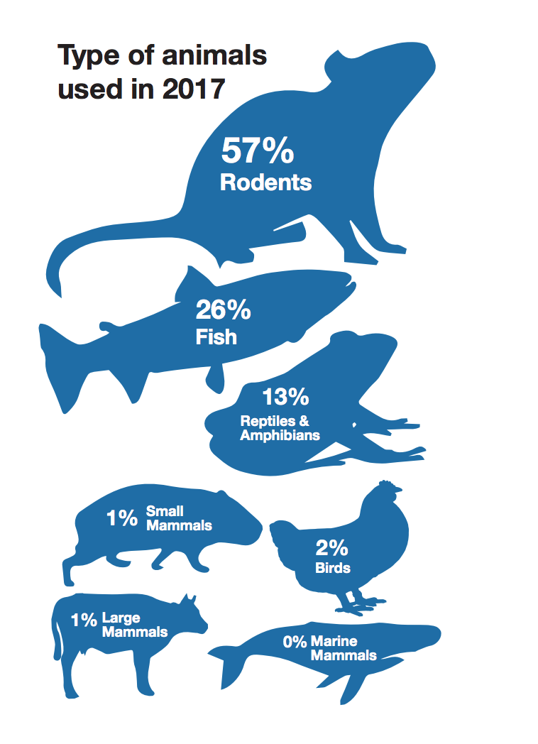 UBC experimented on over 170,000 animals in 2017. Here’s how and why.
