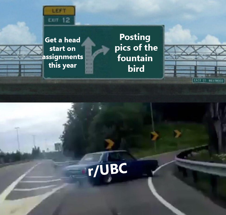 The best Birb memes from the UBC Reddit