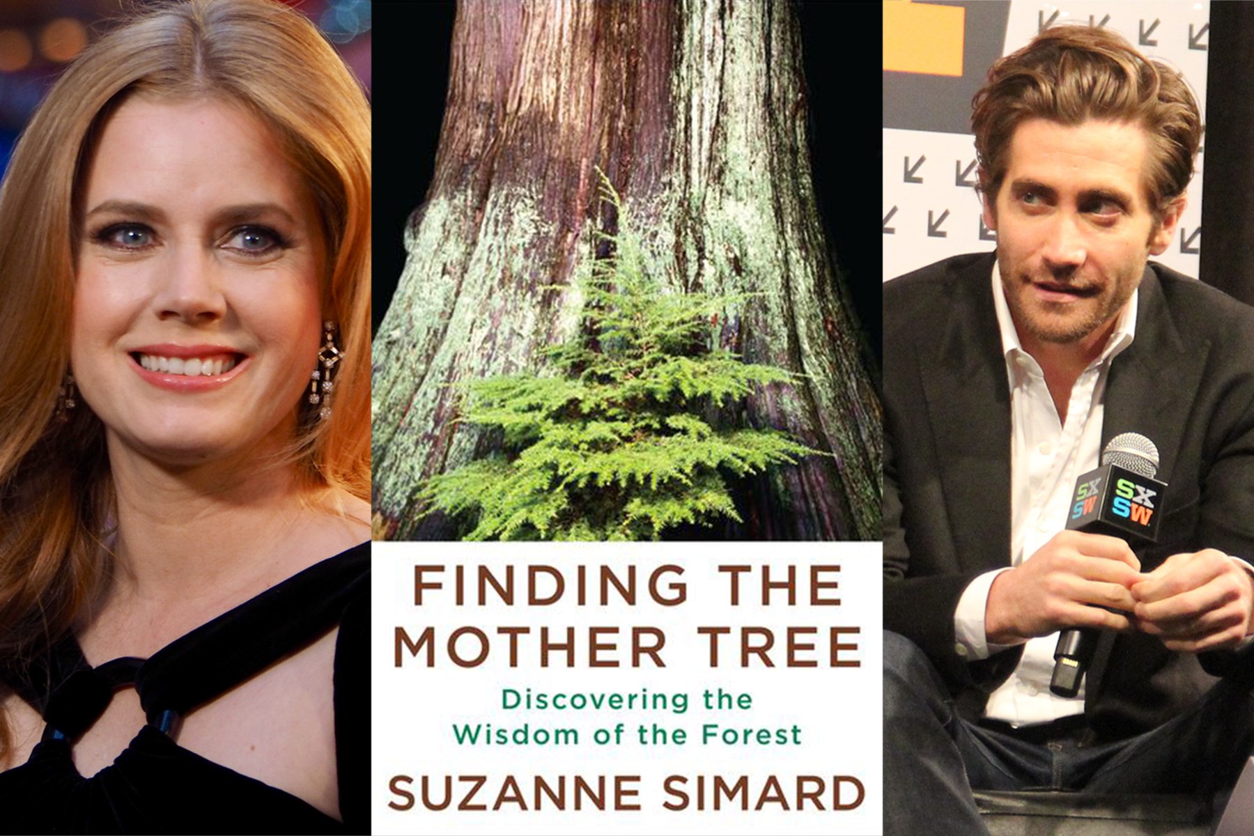 Amy Adams and Jake Gyllenhaal to star in movie adaptation of UBC ...