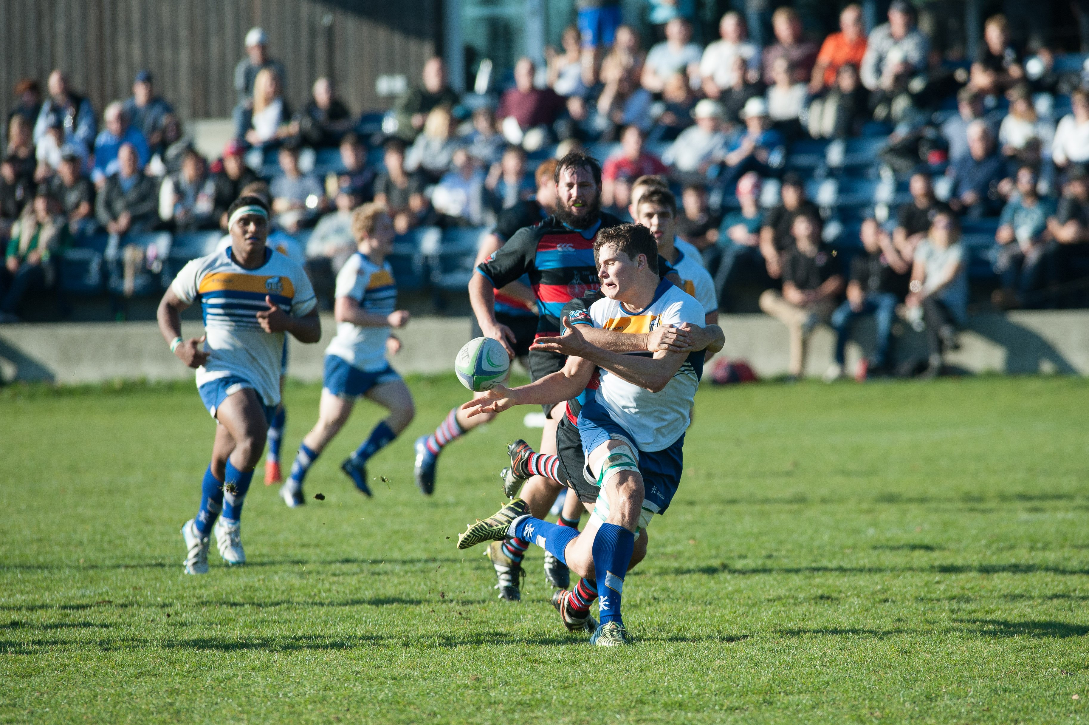 Fall flurry: Men's rugby wipe out Castaway Wanderers RFC