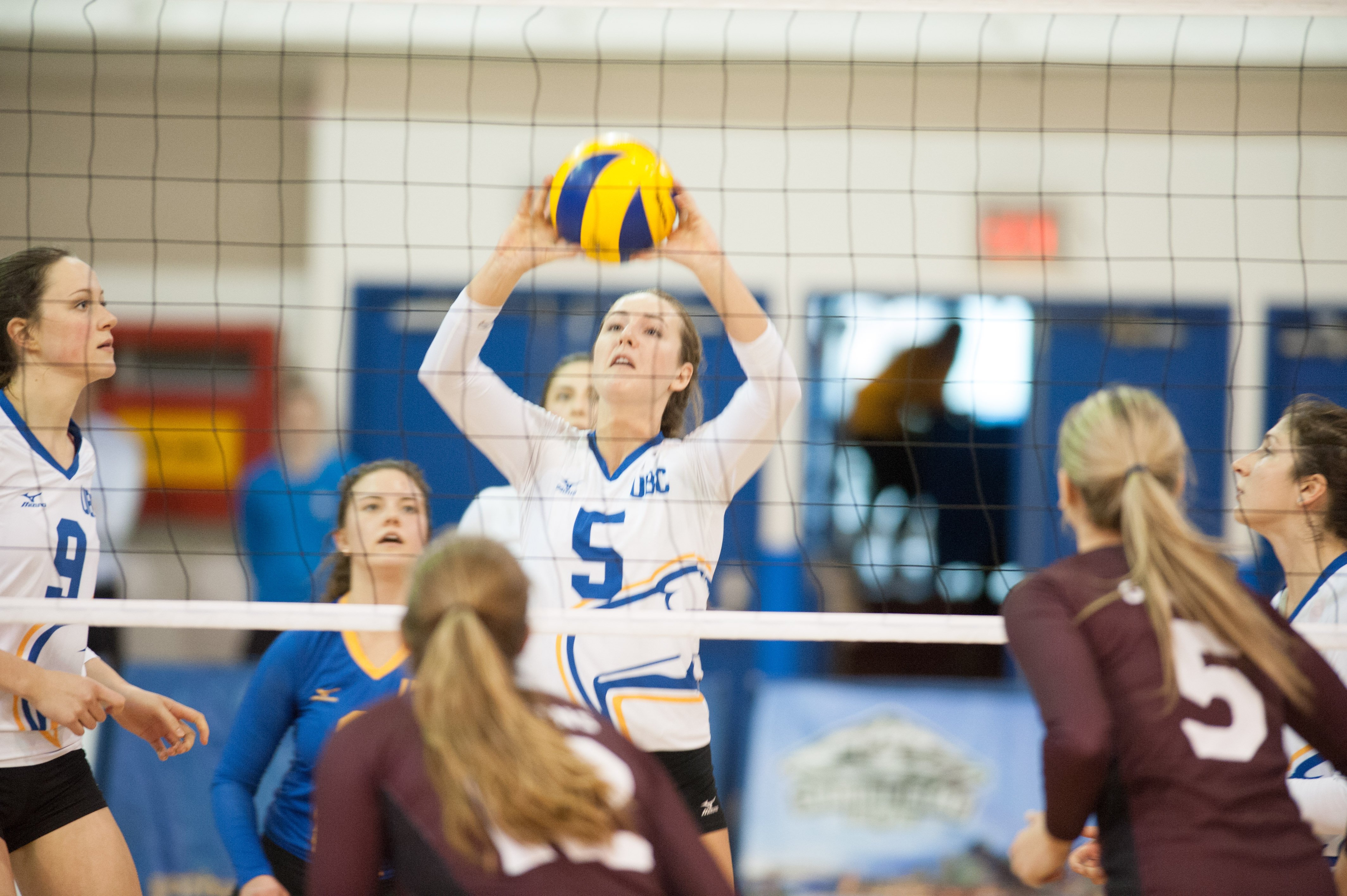 'Birds take first match against Griffins in final home series of 2017