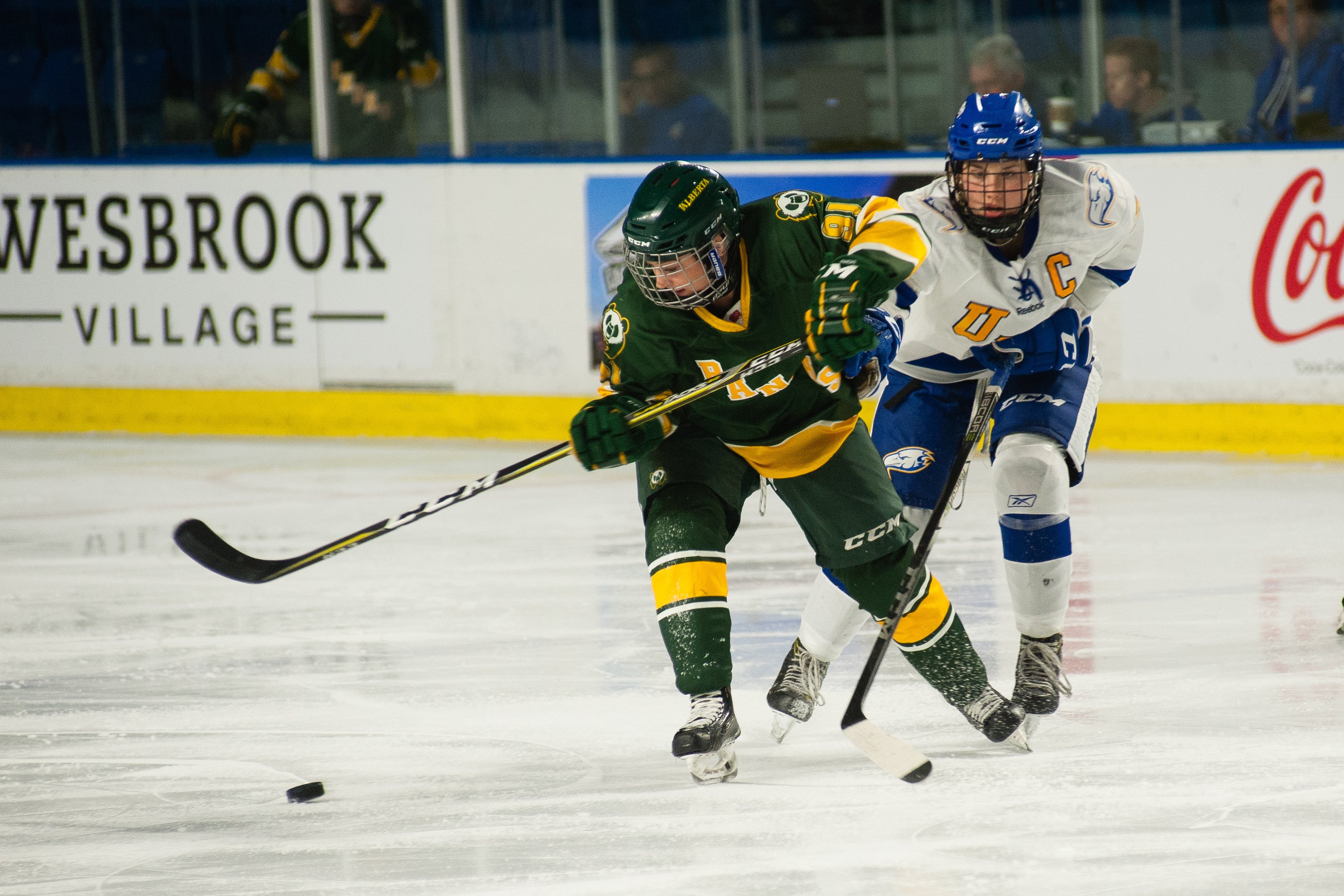 Overtime duel: Women's hockey split weekend against defending national ...