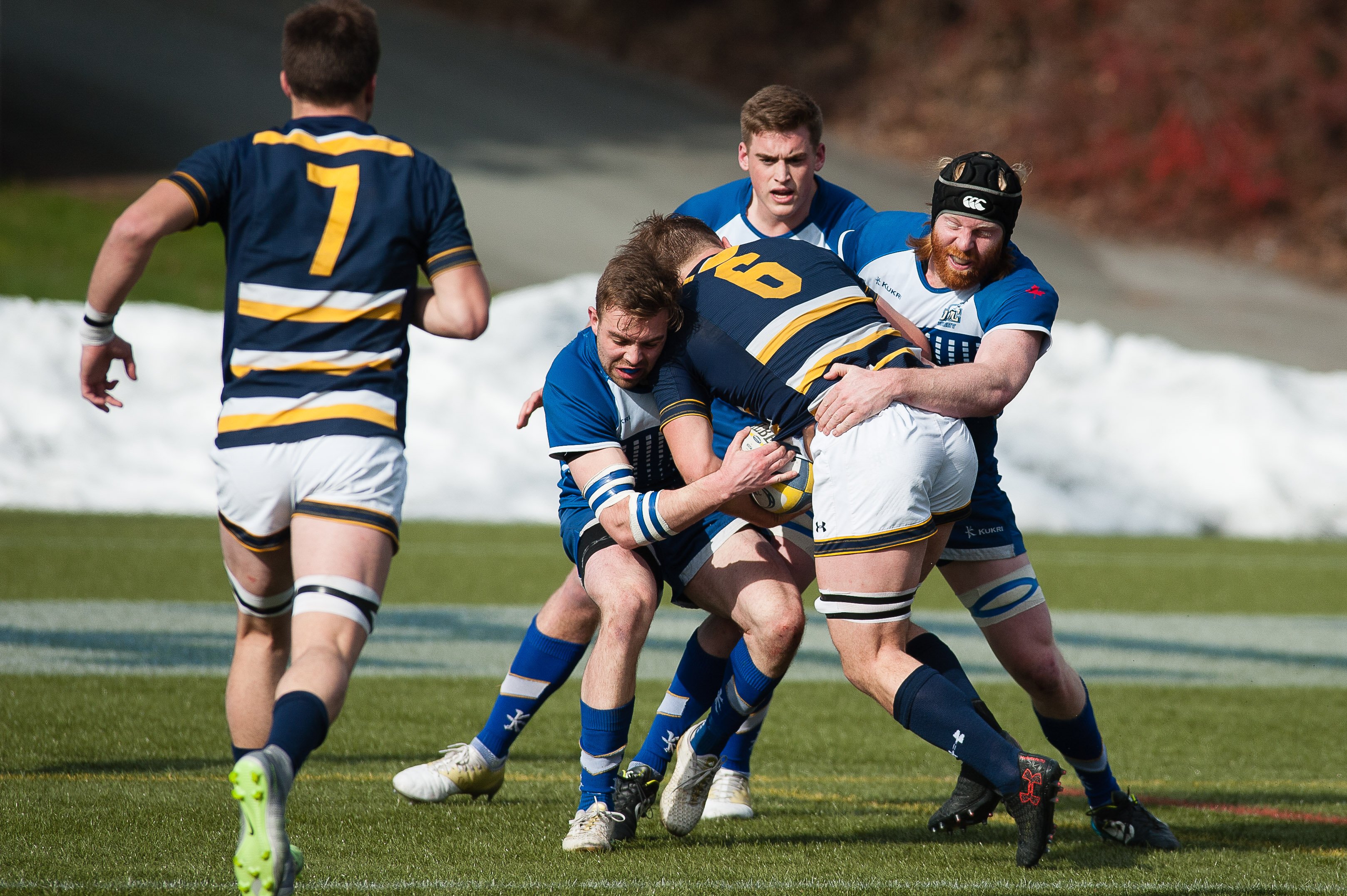 'Birds win World Cup after bearing down on California Golden Bears